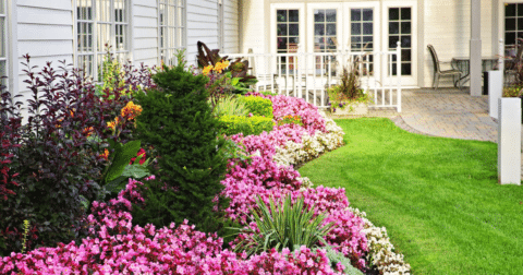 Our 5 Favorite Low-Maintenance Outdoor Plants for Easy Care
